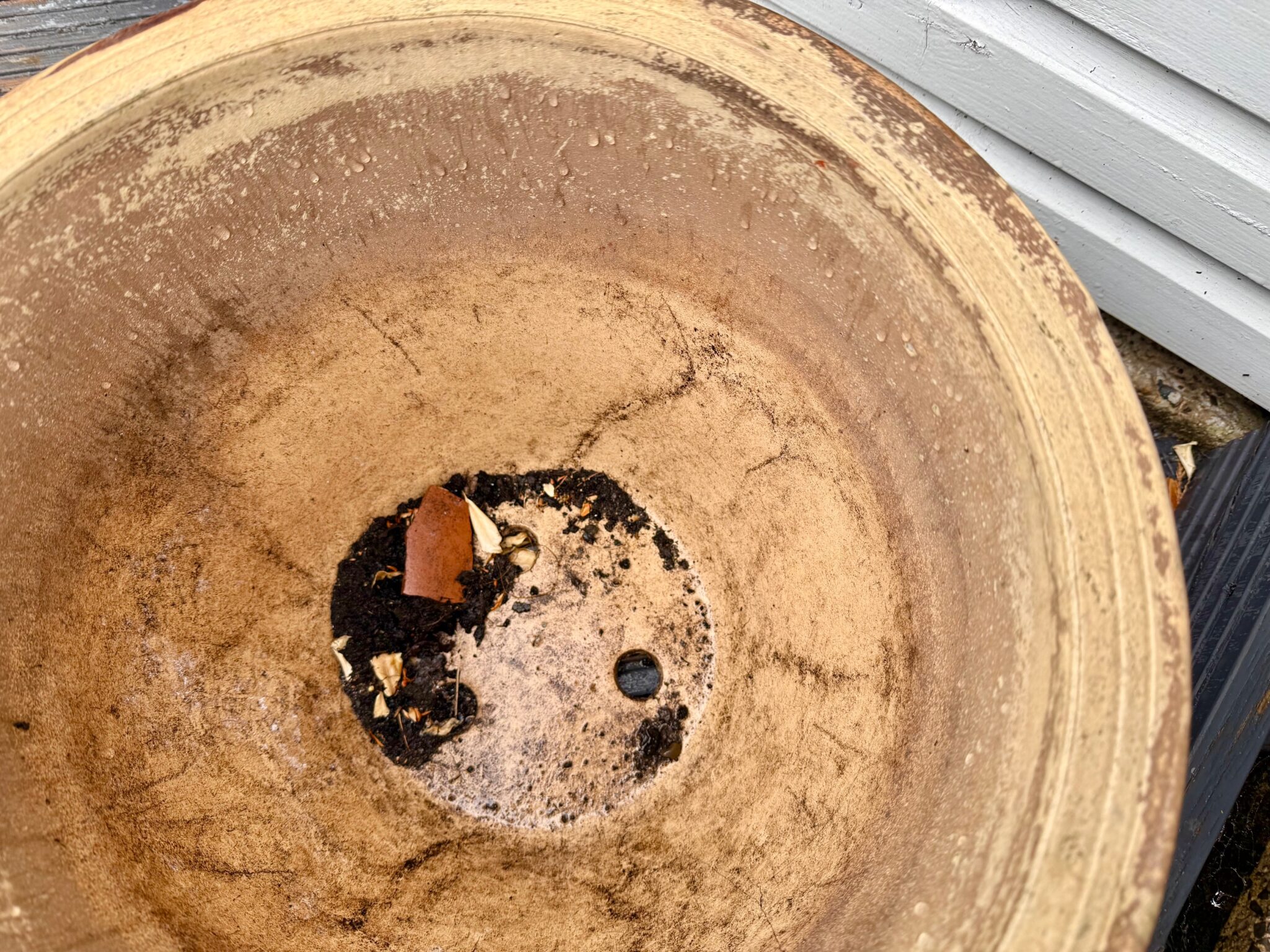 How to Plug Holes in an Outside Pot (Without Losing Your Marbles or ...